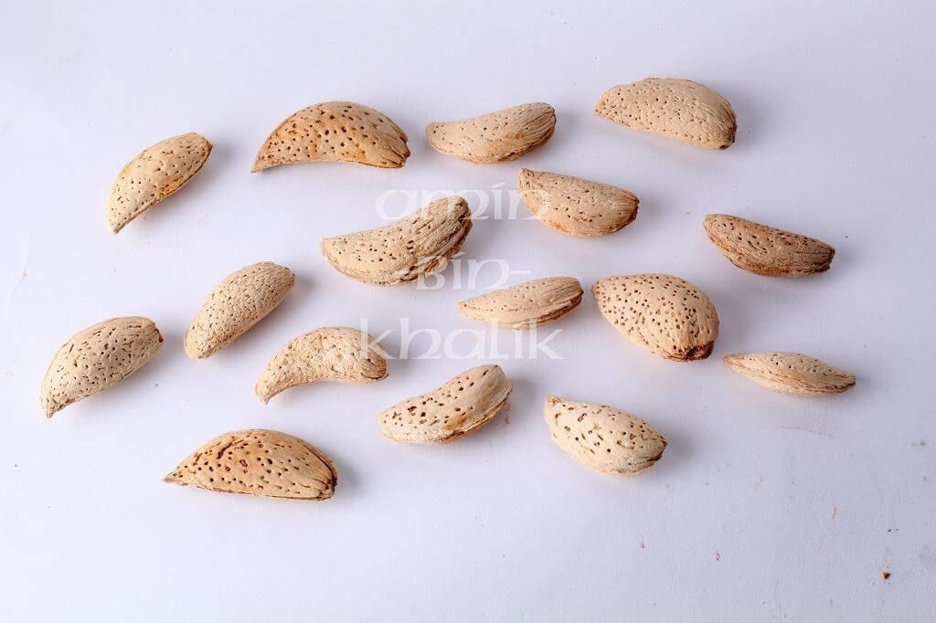 BUY AFGHAN ALMONDS | Organic Almonds in Shell from Afghanistan | ABK®